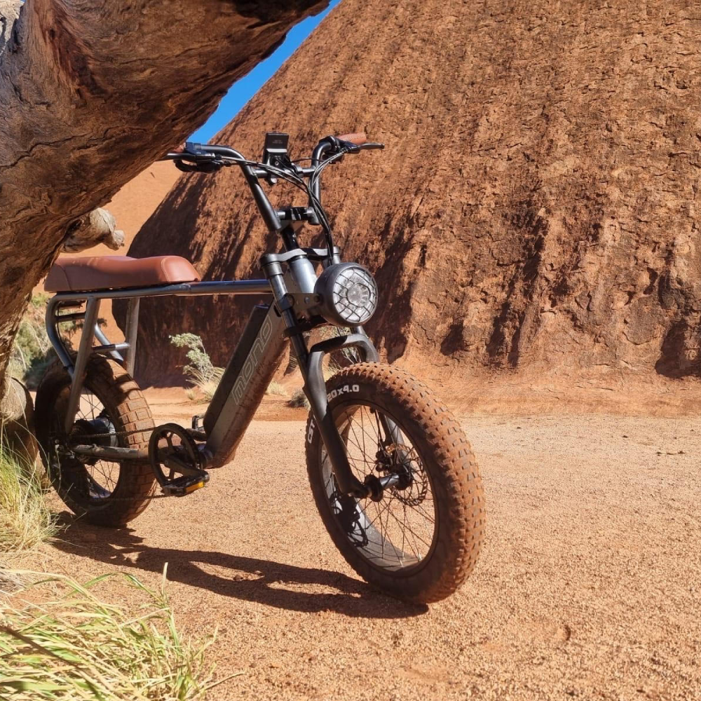 E-FAT BIKES – My Onebike
