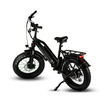 TERRA All-Terrain Cargo E-Bike – My Onebike