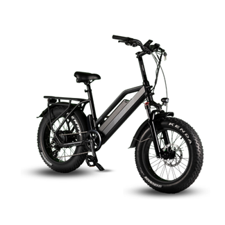 TERRA All-Terrain Cargo E-Bike – My Onebike
